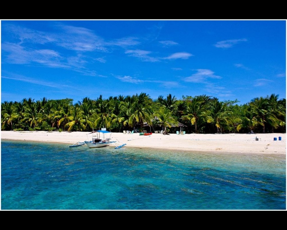 Pandan-Pandan Island Escape with Proboscis Monkey & Fireflies tour